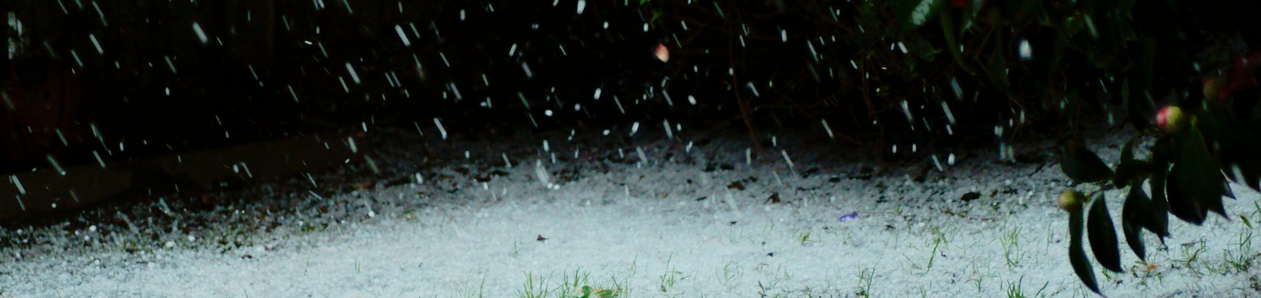 Eagle Concrete Roof Tile: The Best Roofing Material to Protect Against ...