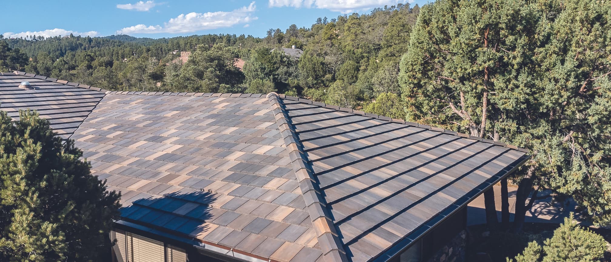 Eagle’s 2024 Color of the Year is Now Available in Florida & the ...